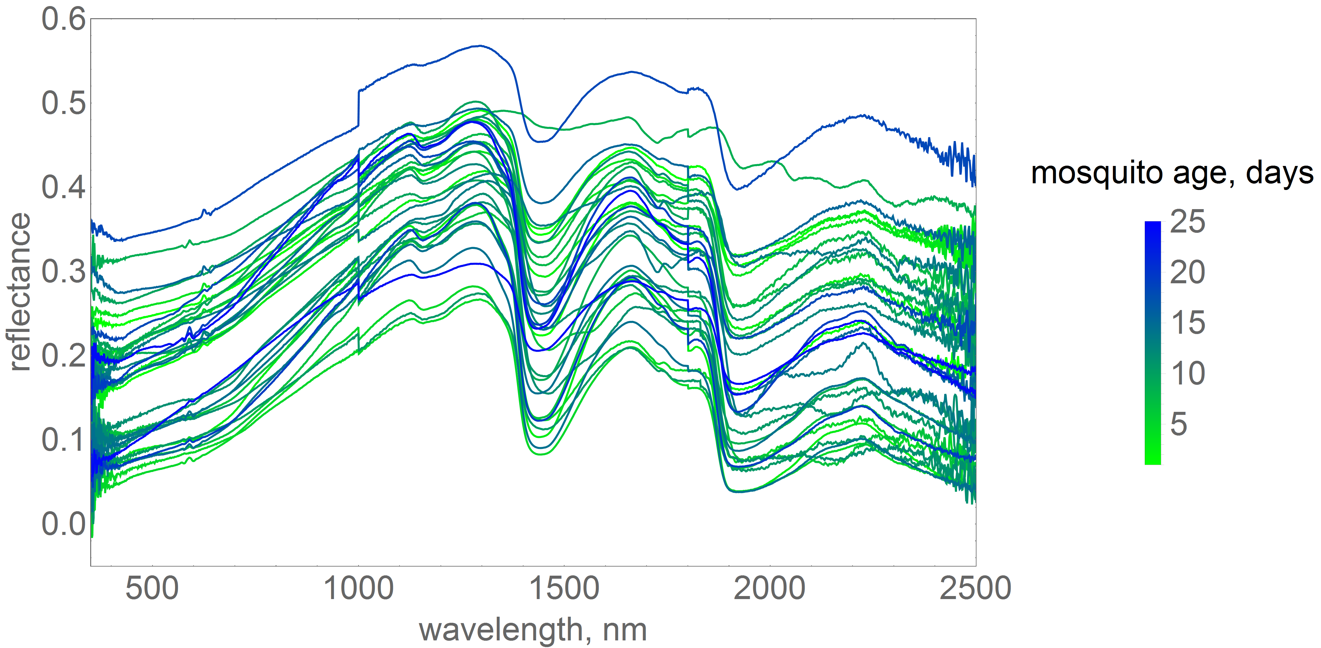 Using spectroscopy and machine learning to estimate mosquito lifespans